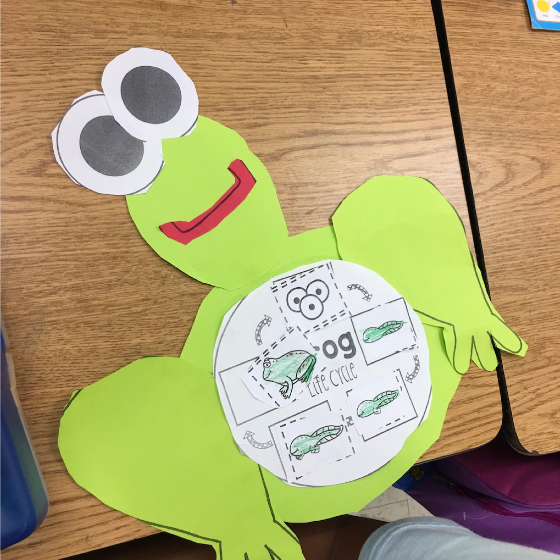 Frog Learning Stations - Sarah Chesworth