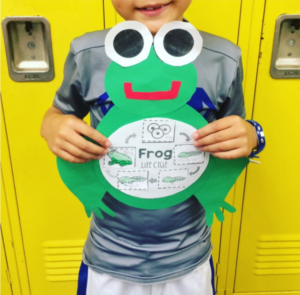 Frog Learning Stations - Sarah Chesworth
