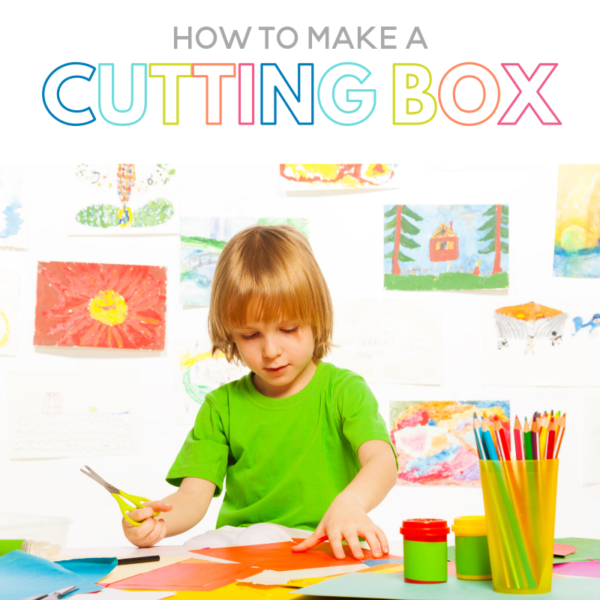 How to Make a Cutting Box for Basically Free - Sarah Chesworth