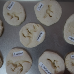 How to Make Fossils - Sarah Chesworth