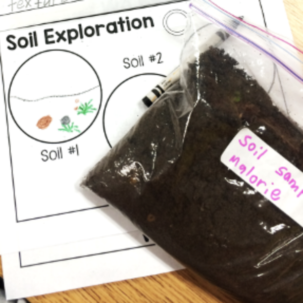 Earth's Resources for First Grade - Sarah Chesworth