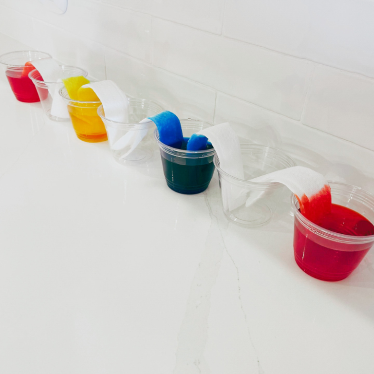 Walking Water Experiment for Kids - Sarah Chesworth