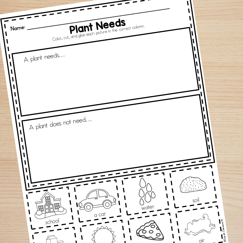 Parts of a Plant Labeling Worksheet - Sarah Chesworth