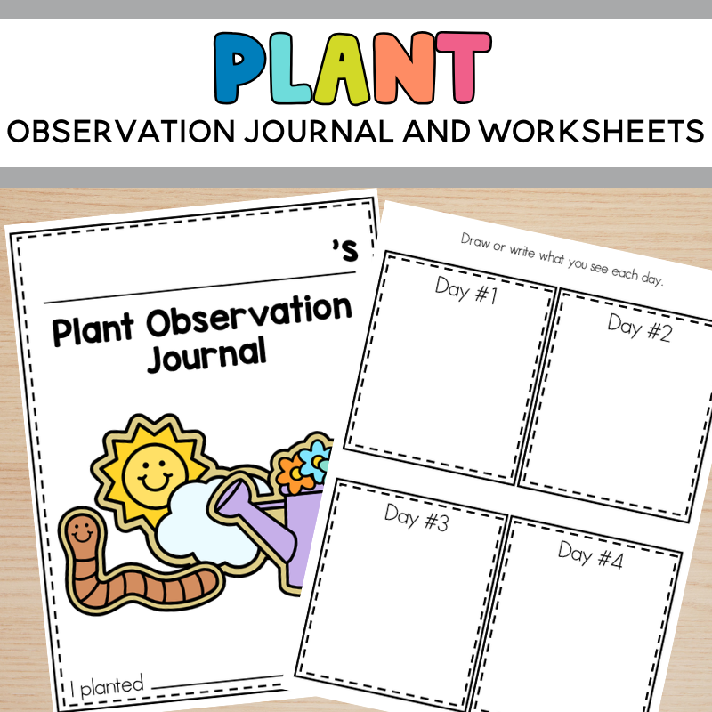 Parts of a Plant Labeling Worksheet - Sarah Chesworth